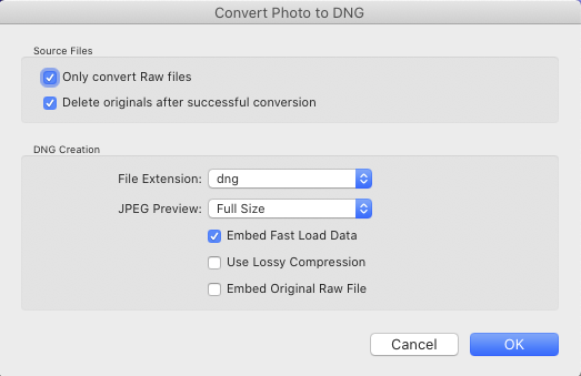 Format RAW i kompresja do DNG (Digital NeGative)